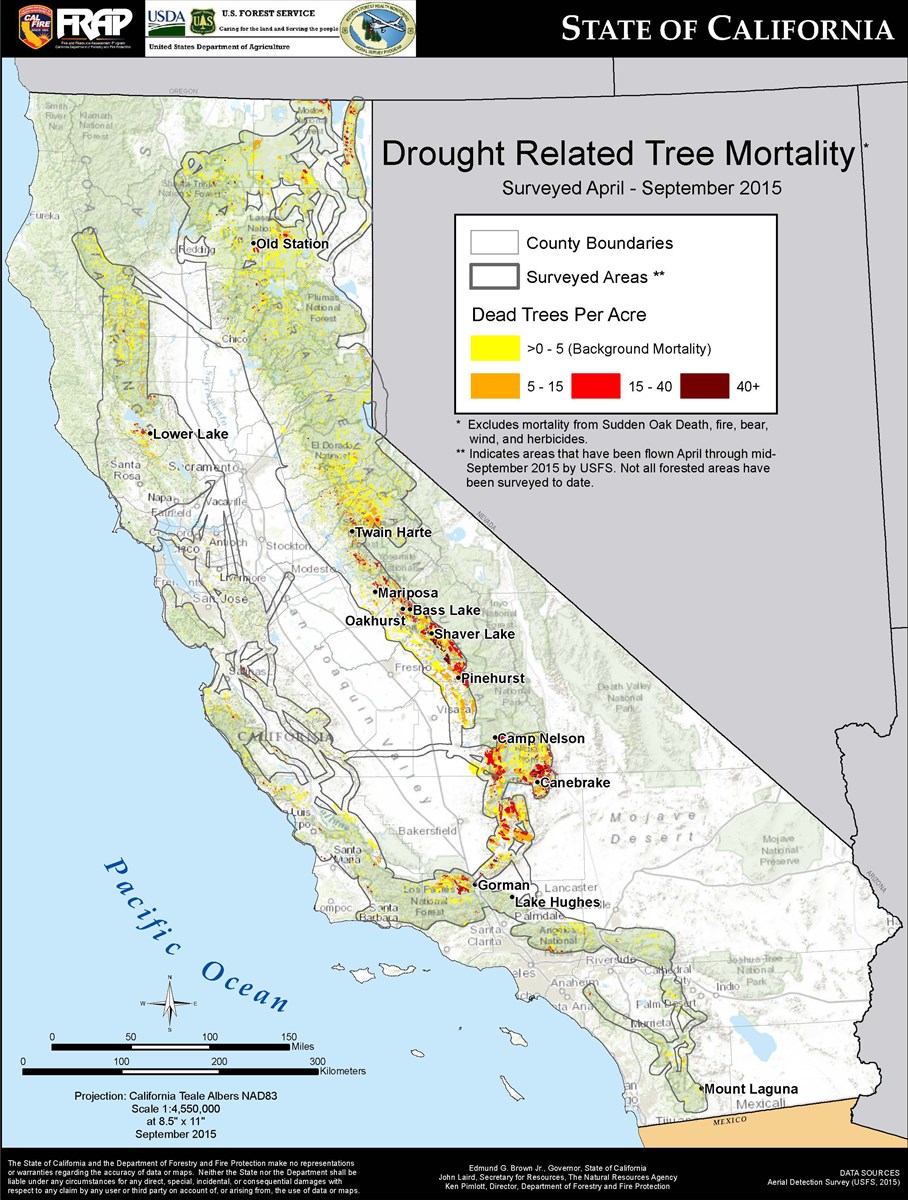Map: Drought Related Tree Mortality, September 2015 | Climate Signals