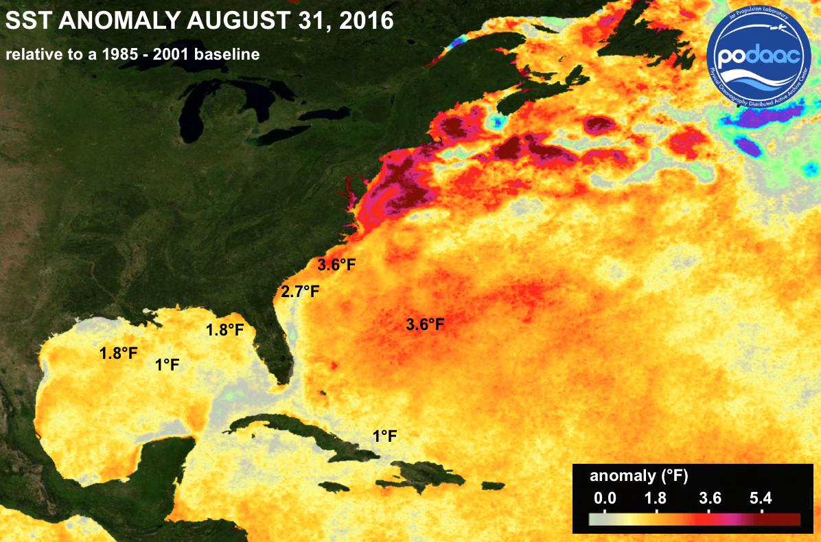 Map: Gulf and North Atlantic SST Anomaly, August 31, 2016 | Climate Signals