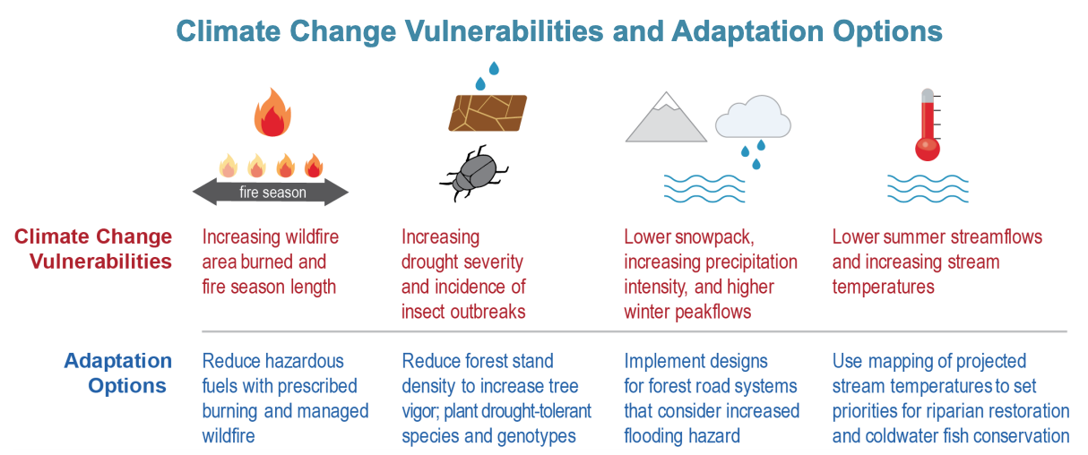 Infographic: Wildfire Climate Change Vulnerabilities and Adaptation ...