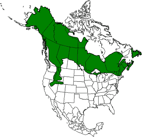 Distribution of moose in North America | Climate Signals