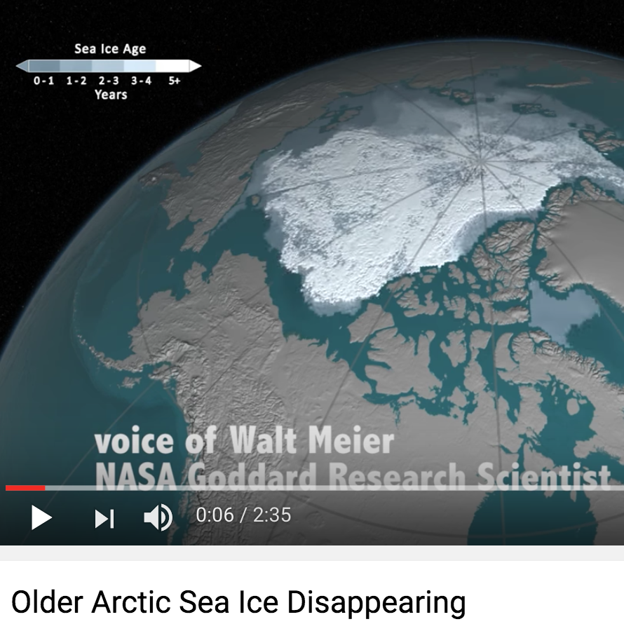 Video: Older Arctic Sea Ice Disappearing | Climate Signals