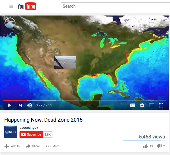 Video: The Dead Zone | Climate Signals