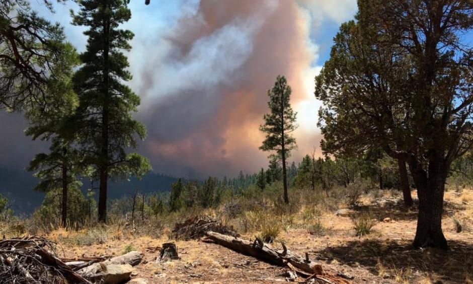 Arizona Forest Fire Marks Start of Southwest’s Wildfire Season ...