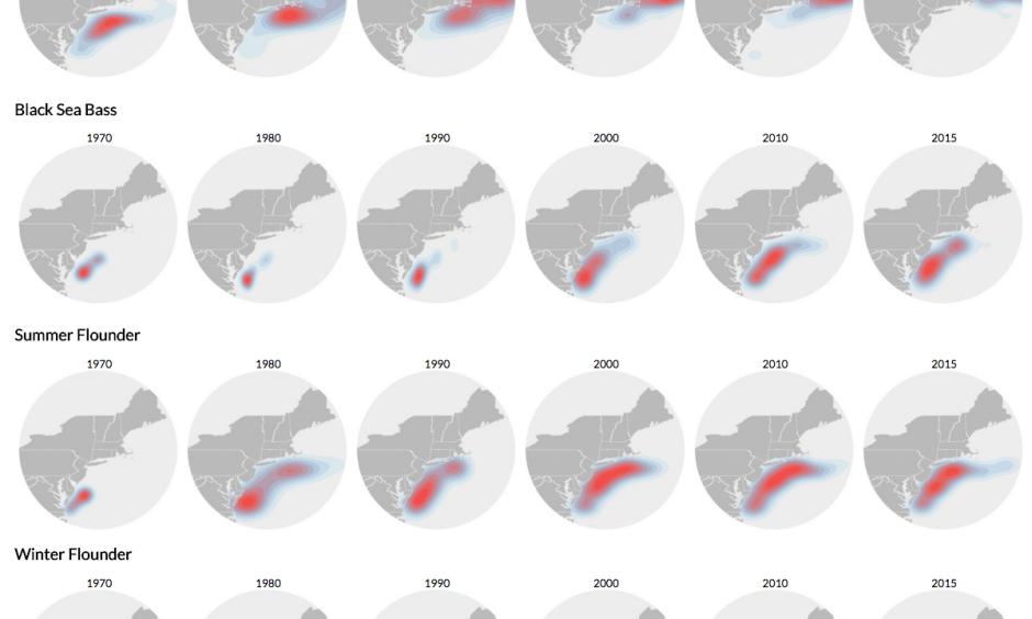 Infographic: Northeast US changing marine species distribution ...
