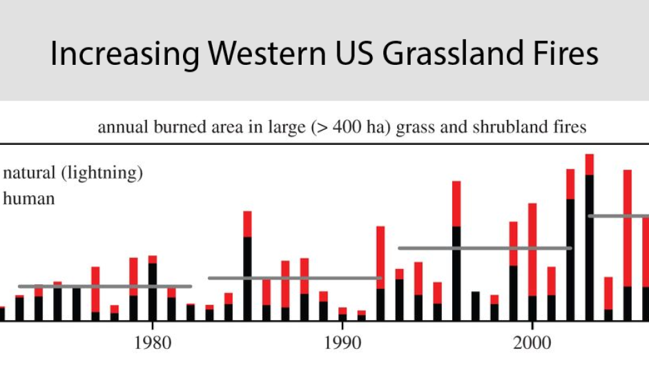 Chart: Annual Large Forest and Shrub and Grassland Fires | Climate Signals