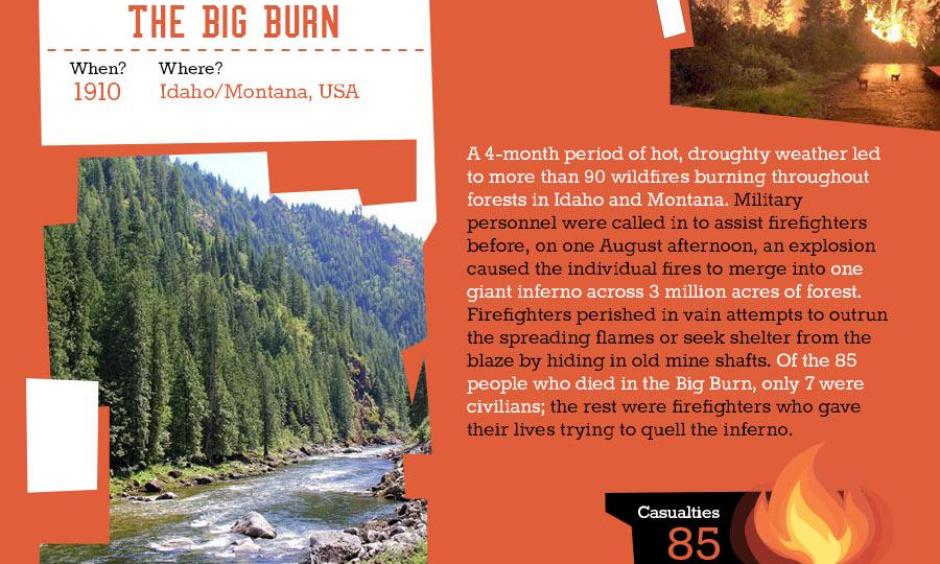 Infographic: The Deadliest Forest Fires of All Time | Climate Signals