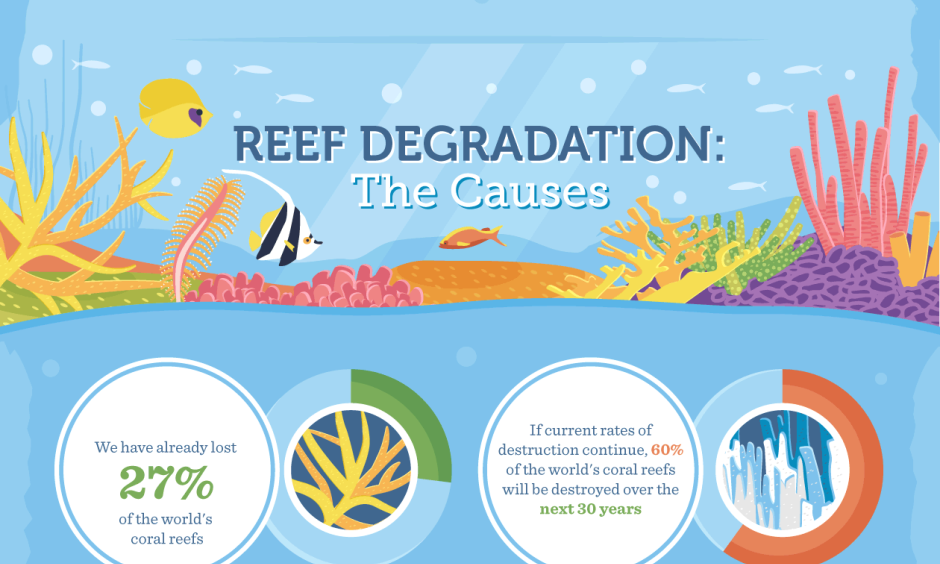 Infographic: Receding Reefs - the greatest threats to coral reefs ...