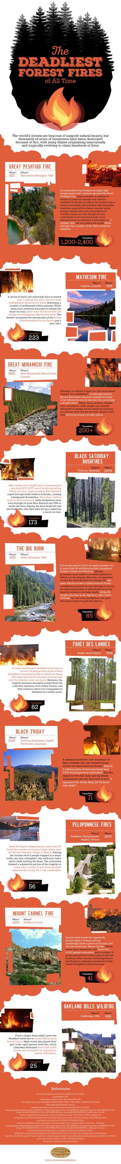Infographic: The Deadliest Forest Fires of All Time | Climate Signals