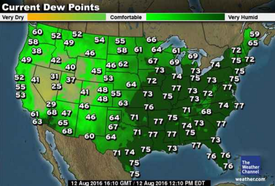 Climate Signals | Map: Dew Points on August 12, 2016