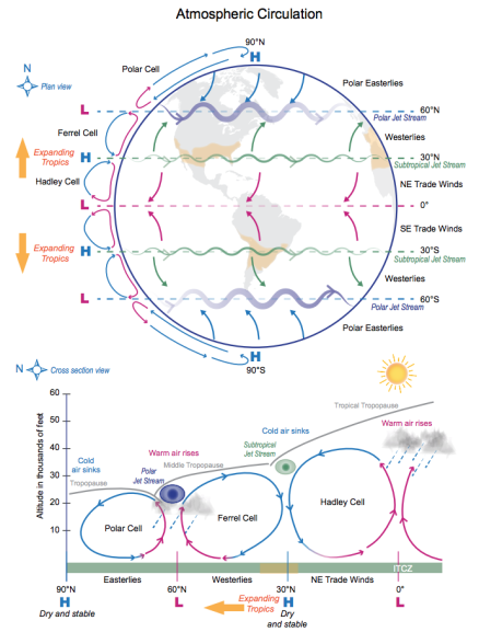 Infographic: General Circulation of the Atmosphere | Climate Signals
