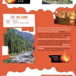 Infographic: The Deadliest Forest Fires of All Time | Climate Signals