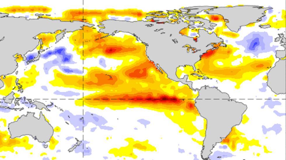 The Pacific 'Blob' Is Back From the Dead; In Fact, It Never Left ...