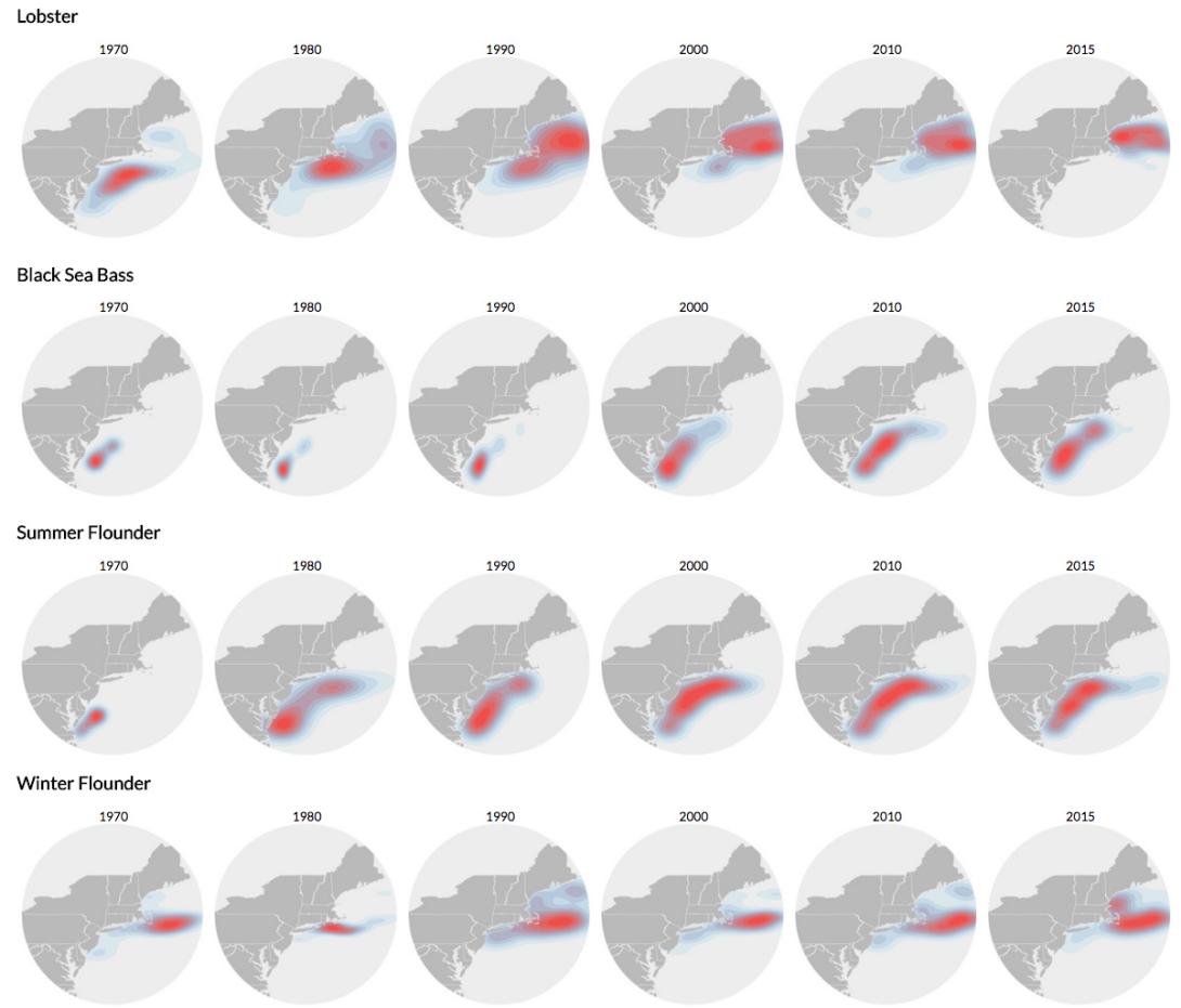 Infographic: Northeast US changing marine species distribution ...